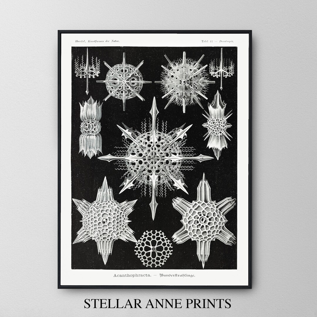 Abstract Black Stars Wall Art, Retro Wall Art, Vintage Wall Art ...