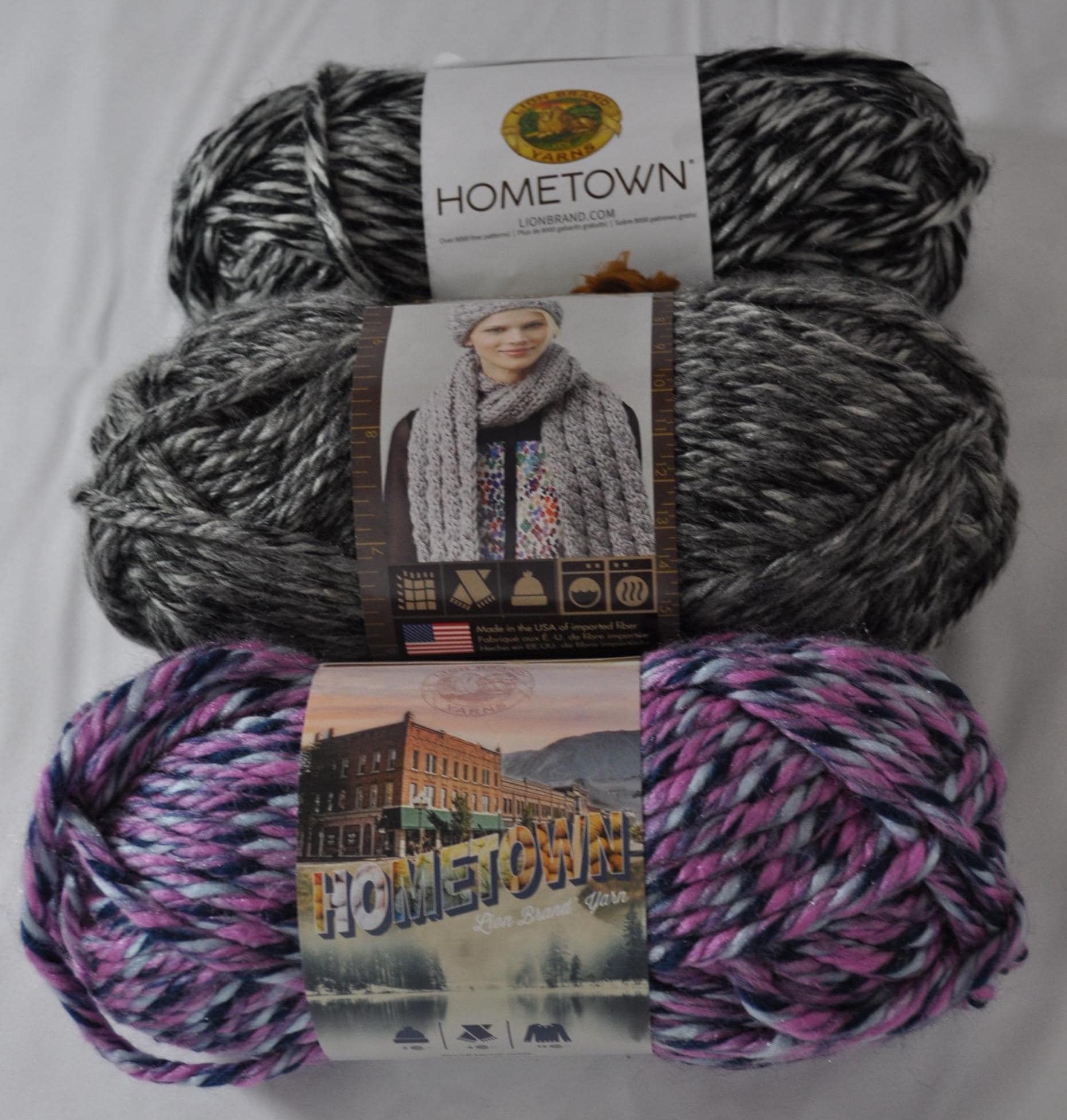 Lion Brand Hometown USA Yarn Anchorage Ice or Jacksonville Taffy Super ...