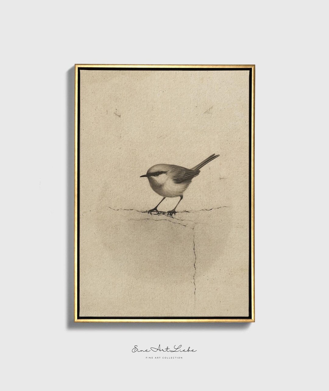 Ready to Hang Vintage Rustic Bird Drawing / Cute Little Bird in Beige ...