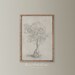 Printable Vintage Tree Drawing / Olive Tree Sketch / Etching ...