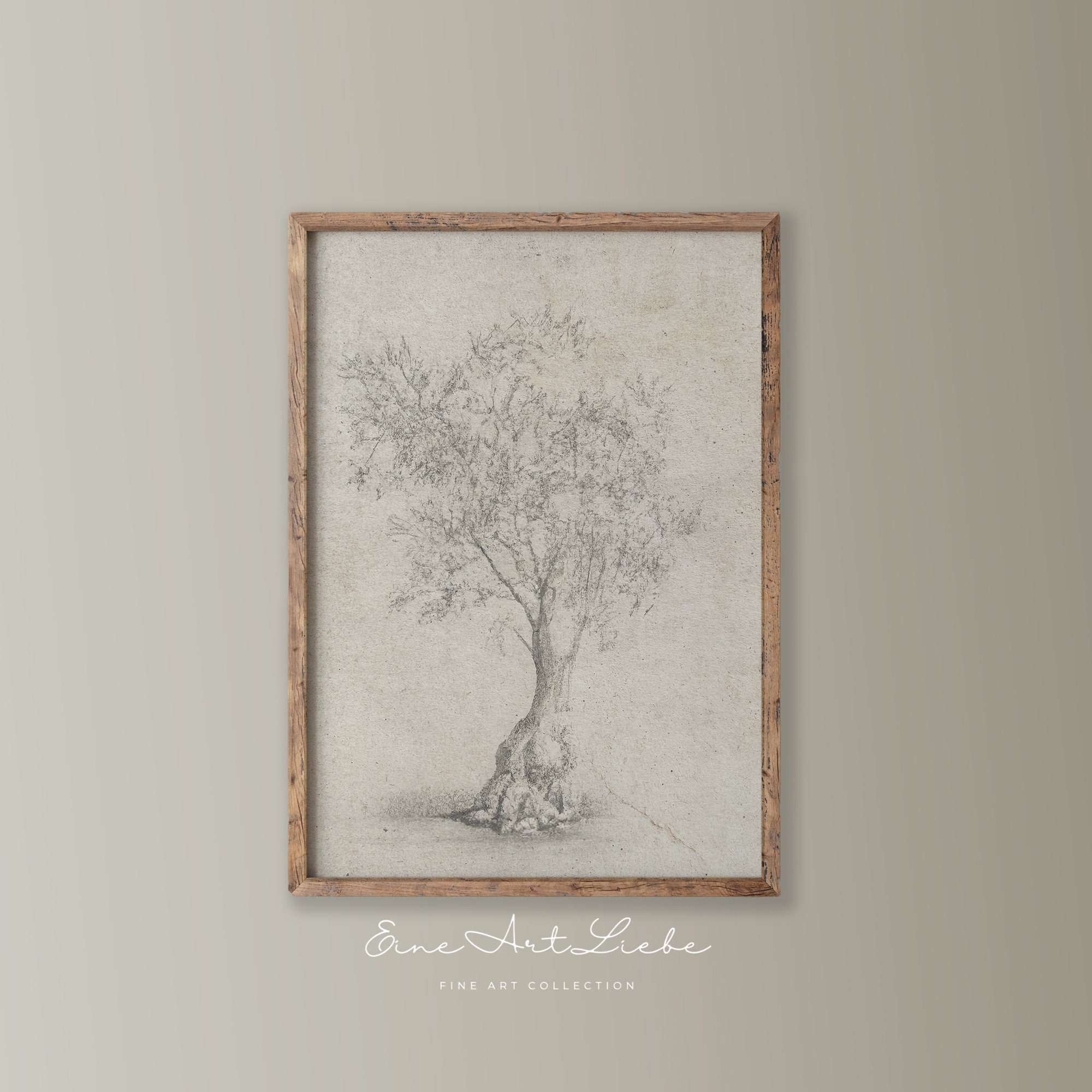 Printable Vintage Tree Drawing / Olive Tree Sketch / Etching ...