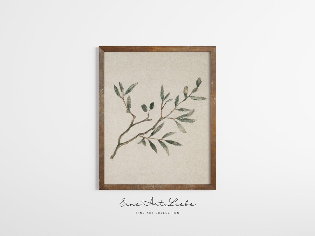 Olive Branch Print / Botanical Art Print / Kitchen Art Print / French ...