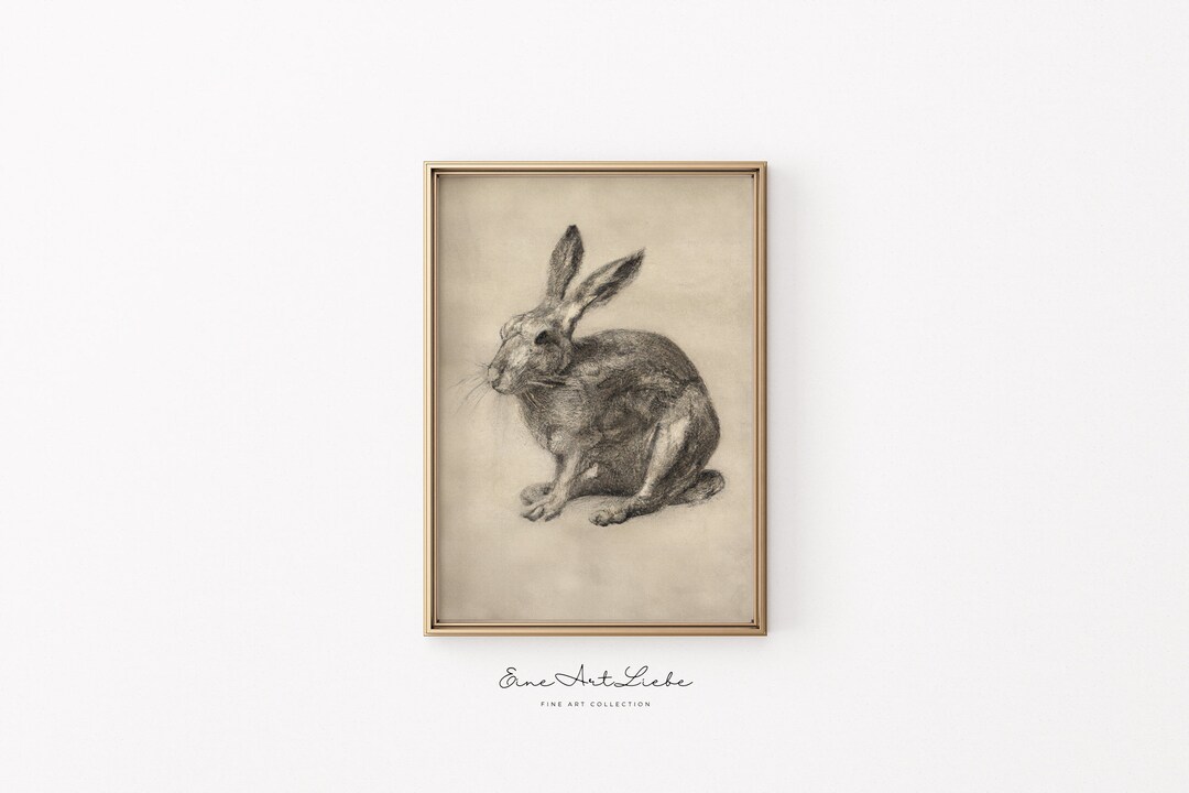 Printable Rabbit Drawing Vintage Rabbit Sketch Original Etching Rustic ...