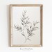 Printable Olive Branch / Kitchen Art Print / Mediterranean Olive Branch ...