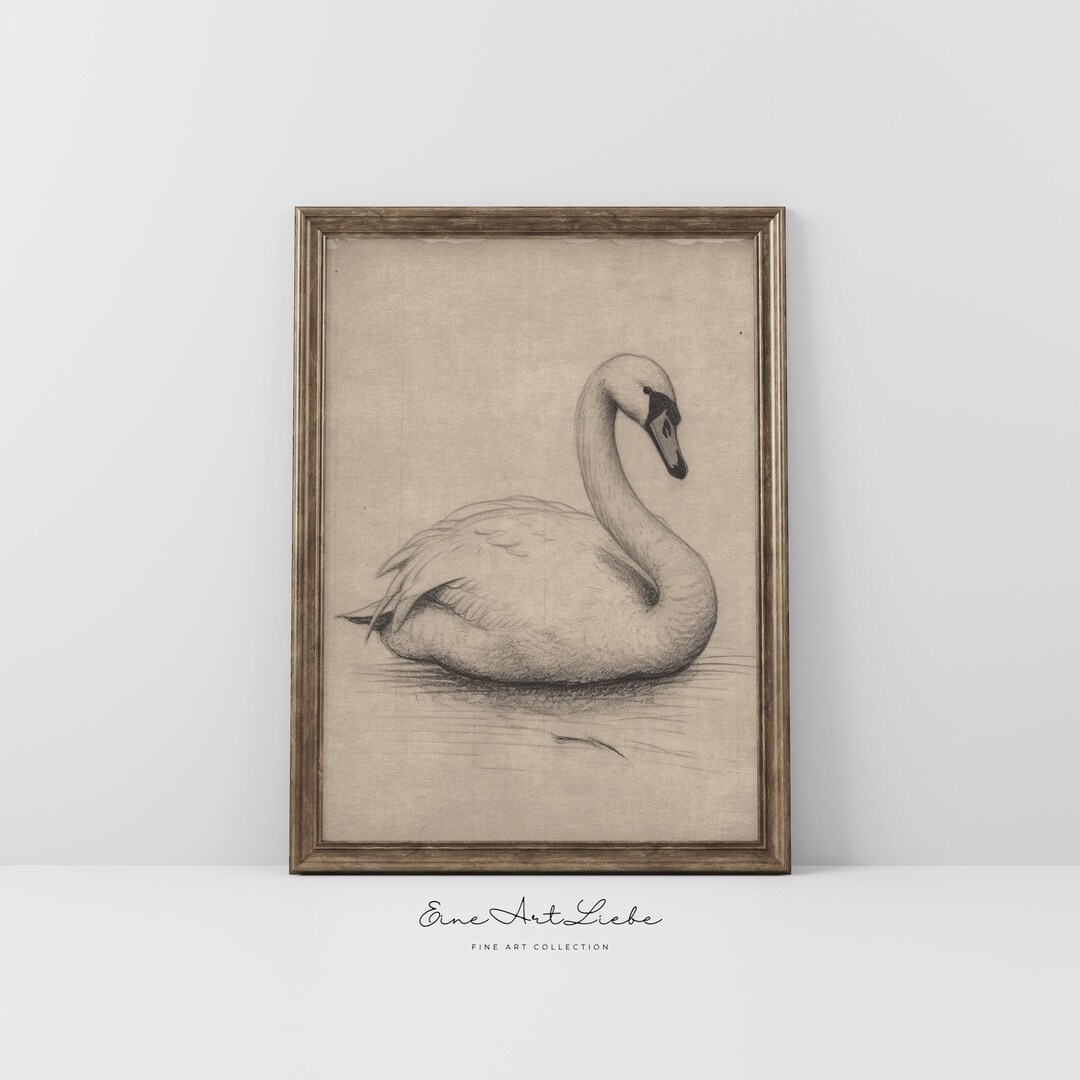 Printable Vintage Swan Drawing / Beige / Rustic Farmhouse Decor ...