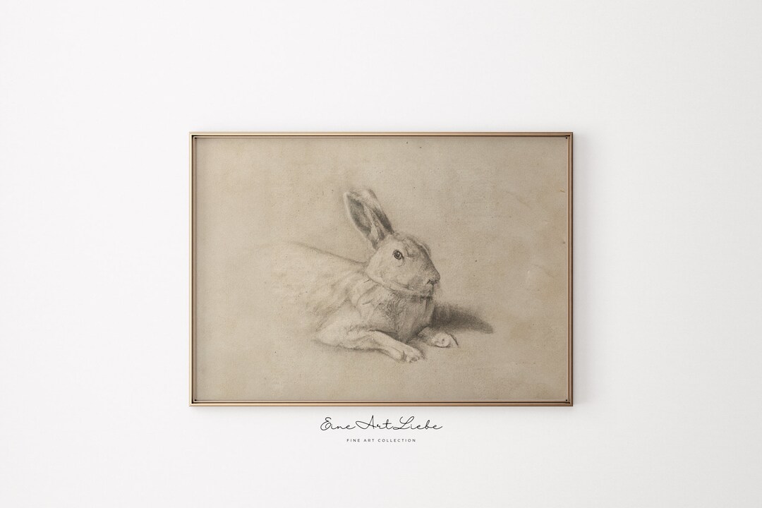 Printable Vintage Rabbit Drawing Vintage Rabbit Pencil Sketch Beige ...