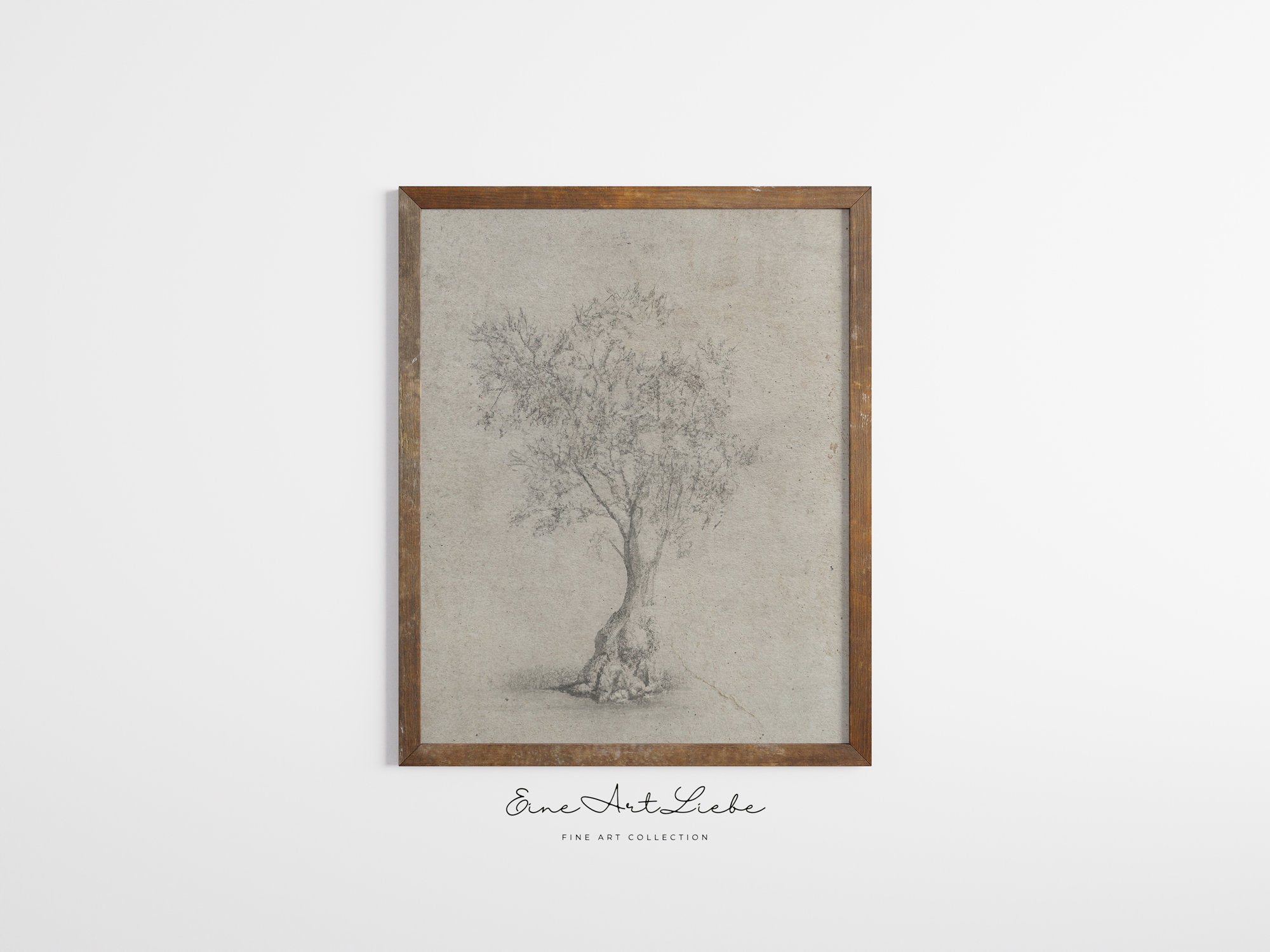 Printable Vintage Tree Drawing / Olive Tree Sketch / Etching ...
