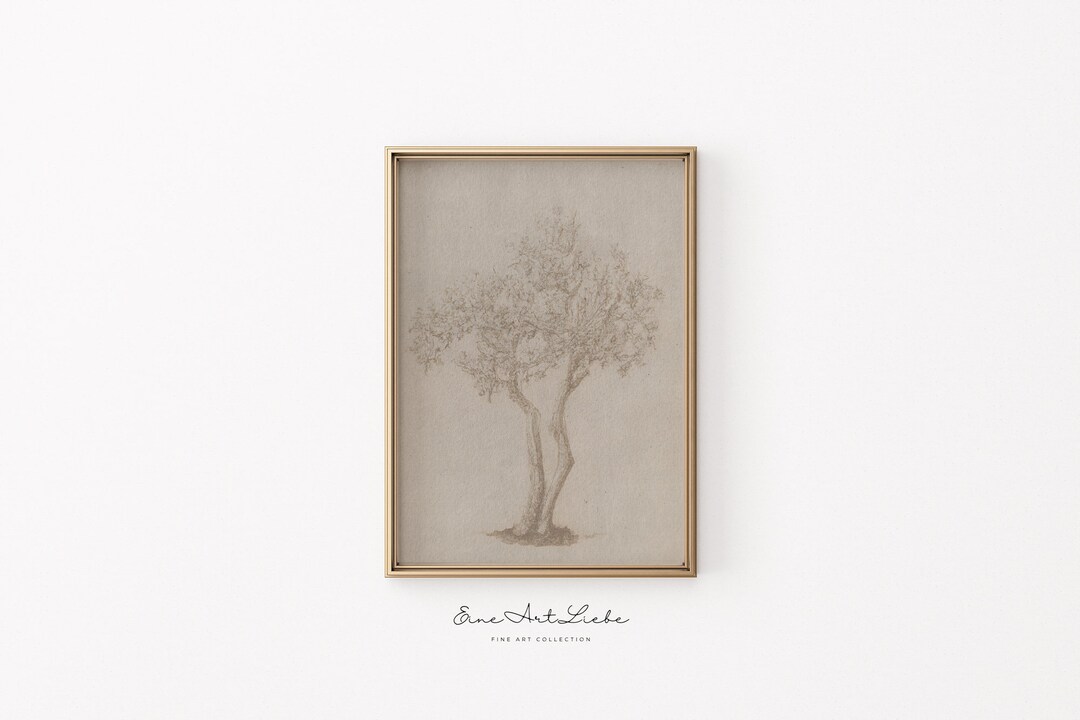 Printable Olive Tree Drawing / Tree Sketch Print / Mediterranean Tree ...
