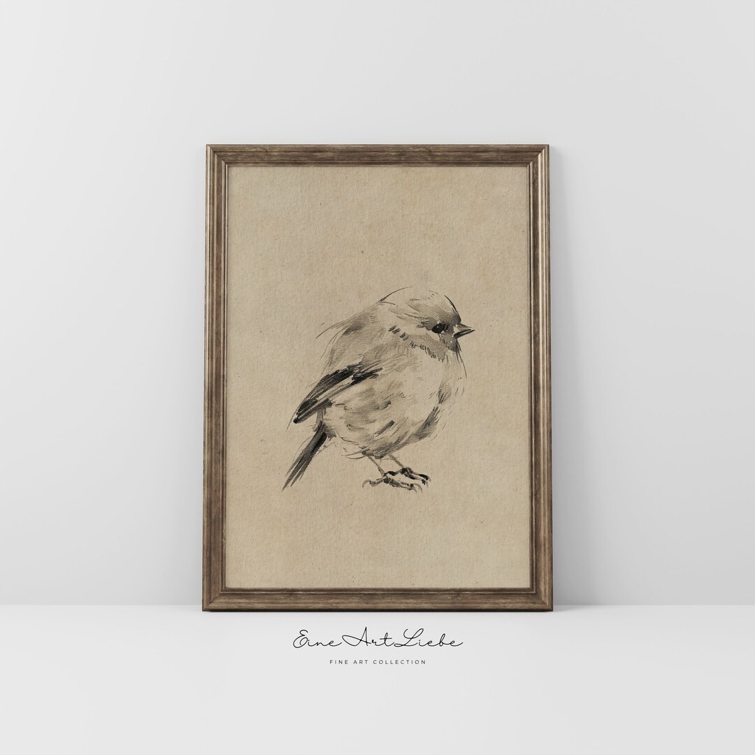 Vintage Bird Etching Printable Nursery Art Cute Little Bird Aviary ...
