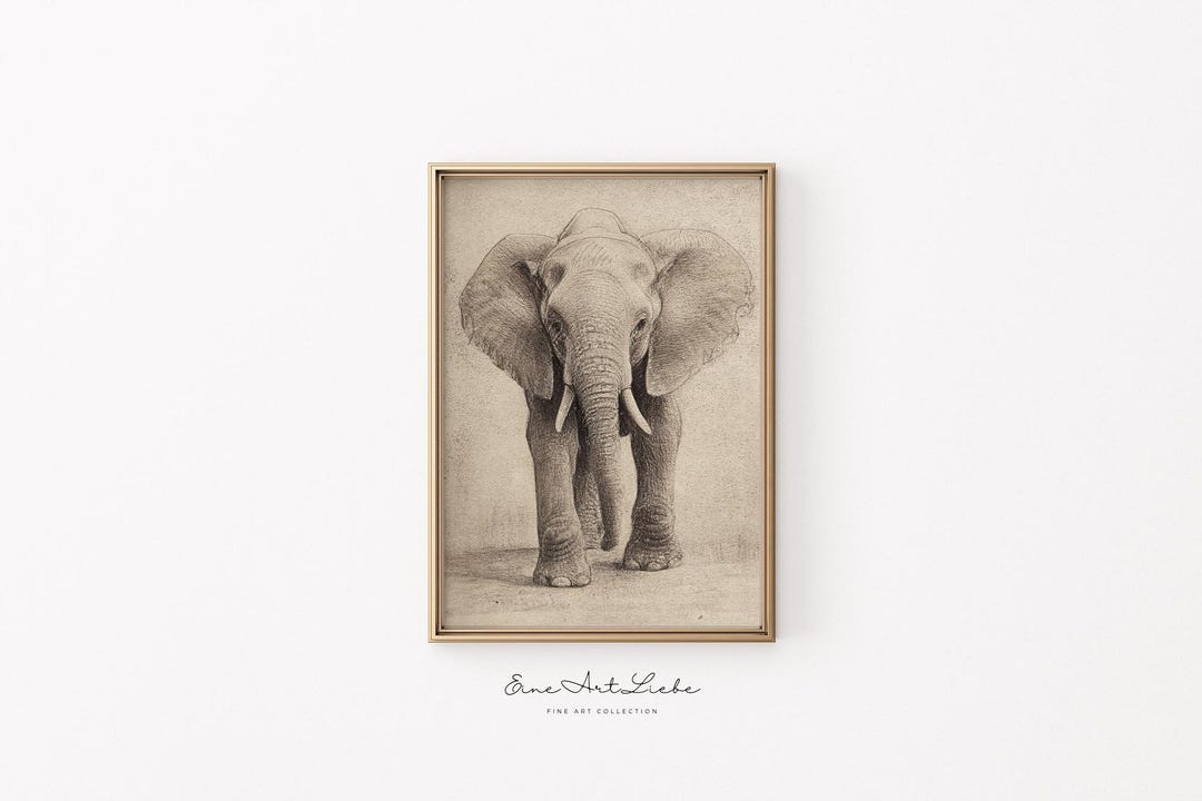 Printable Vintage Elephant Pencil Drawing Digital Download Animal ...