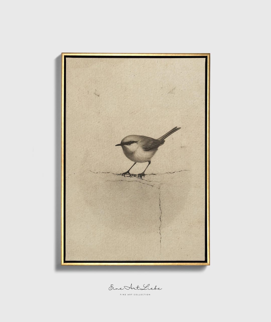 Ready to Hang / Vintage Inspired Bird Etching Print on Canvas or Fine ...