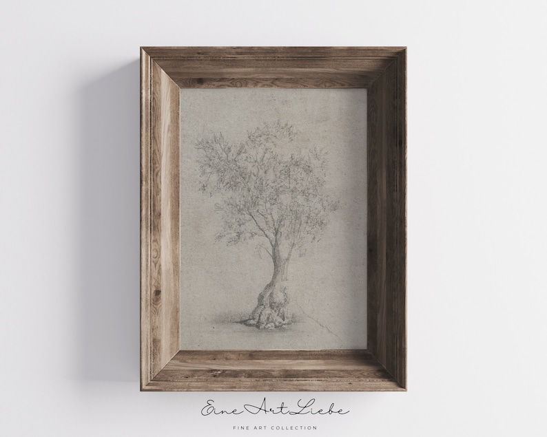 Printable Vintage Tree Drawing / Olive Tree Sketch / Etching ...