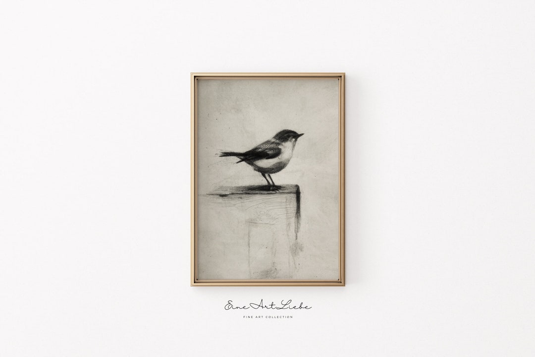 Printable Bird Etching Vintage Bird Pencil Drawing Nursery Wall Art ...