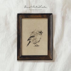 Vintage Bird Etching Printable Nursery Art Cute Little Bird Aviary ...