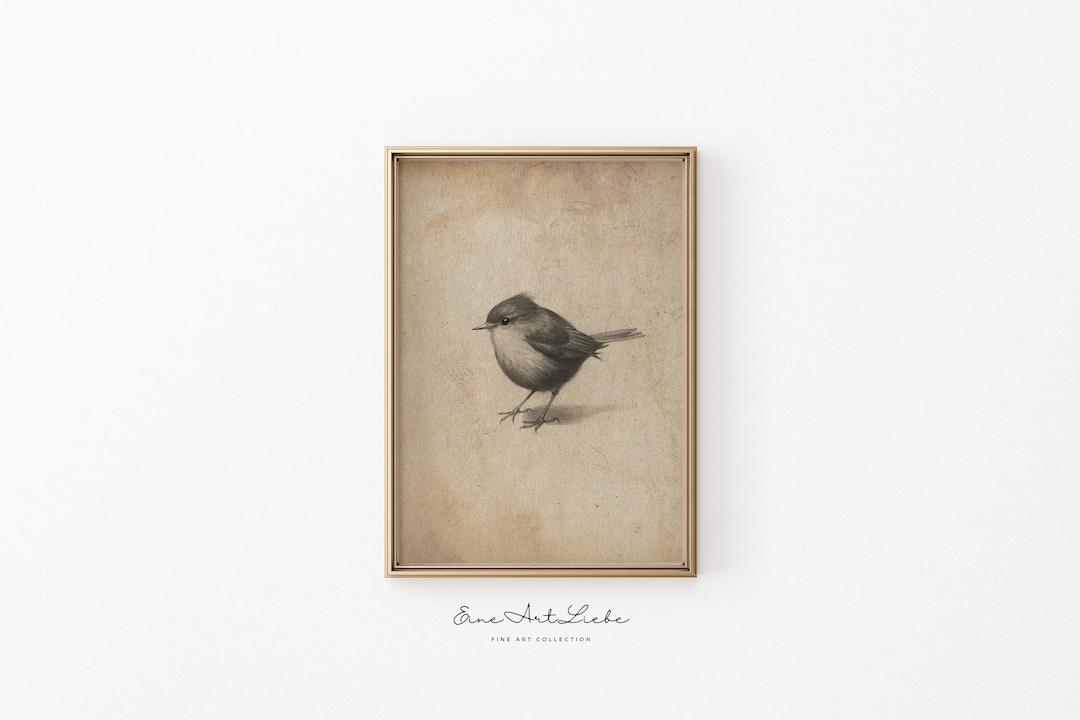 Vintage Bird Etching Printable Nursery Art Cute Little Bird Aviary ...