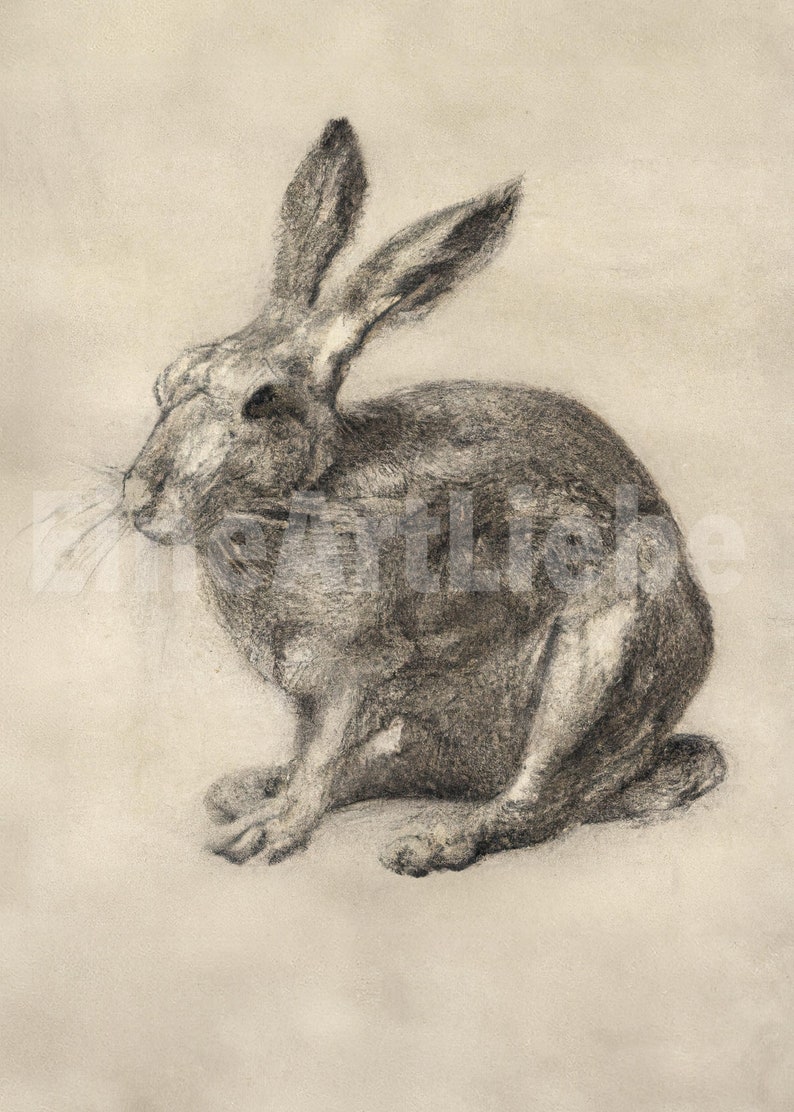 Printable Rabbit Drawing / Vintage Rabbit Sketch / Beige Animal Etching ...