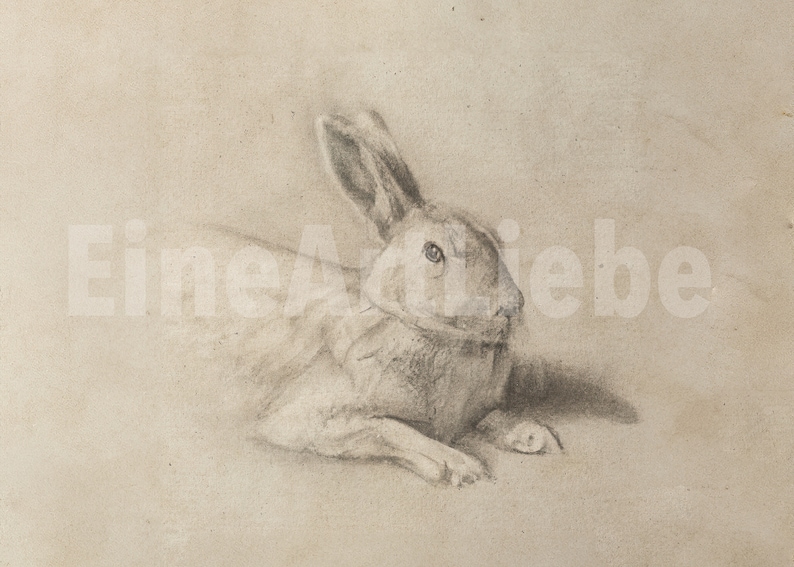 Printable Vintage Rabbit Drawing / Vintage Rabbit Pencil Sketch / Beige ...