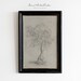 Printable Vintage Tree Drawing / Olive Tree Sketch / Etching ...