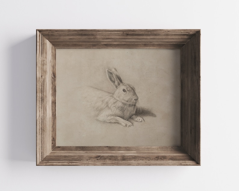 Printable Vintage Rabbit Drawing / Vintage Rabbit Pencil Sketch / Beige ...