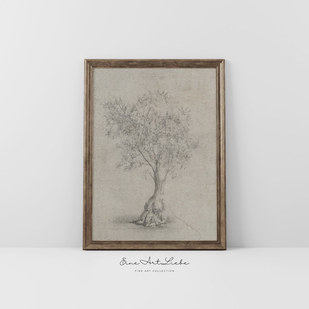 Printable Vintage Tree Drawing / Olive Tree Sketch / Etching ...