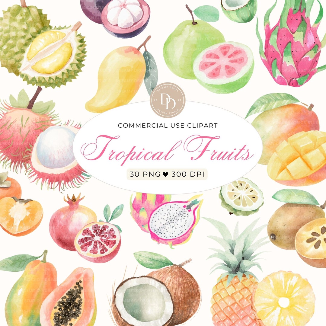 Tropical Fruit Clipart Pack, Hawaii Clipart, Pineapple Clipart, Mango ...