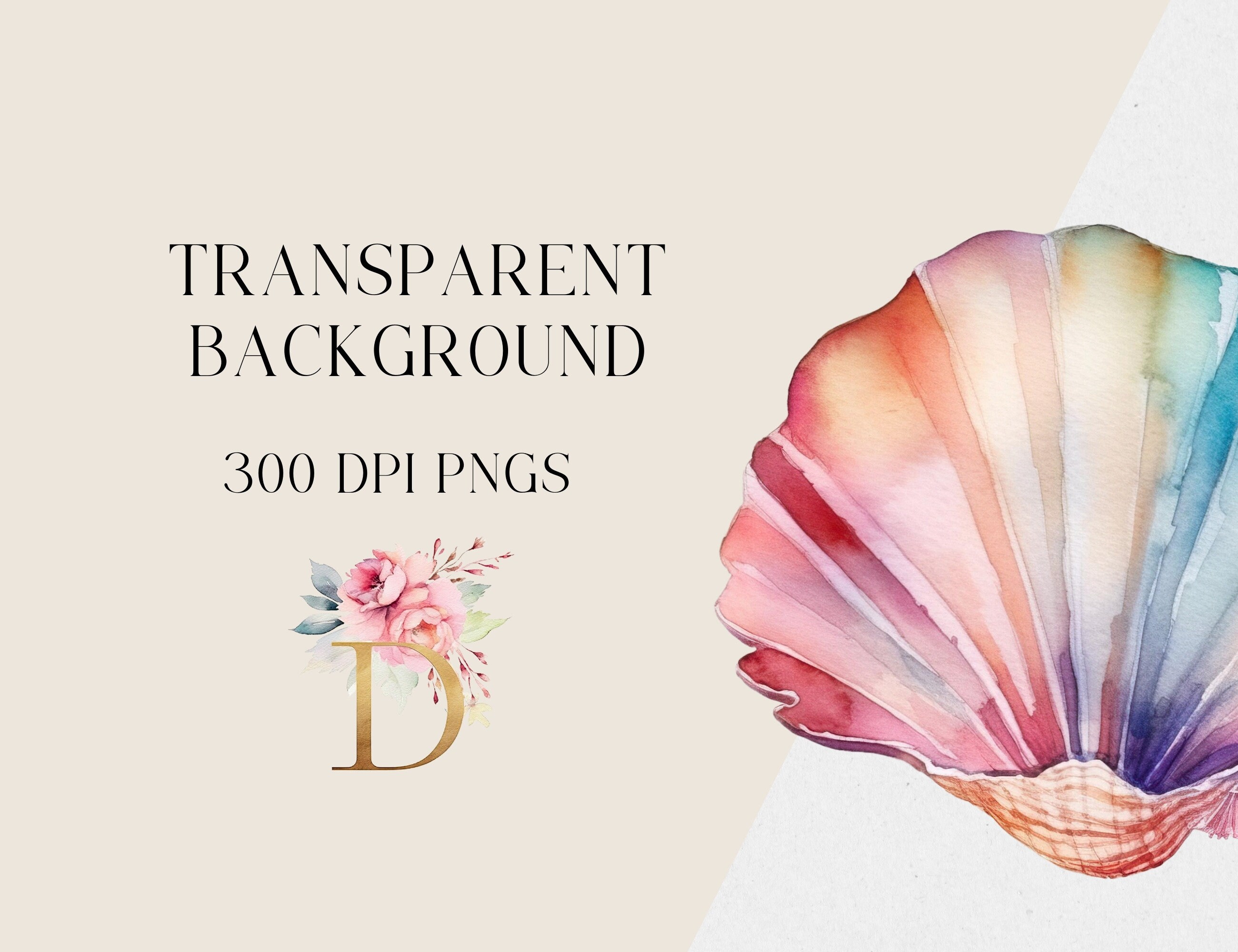 Seashell Clipart Bundle, Watercolor Clipart Under the Sea, Beach ...