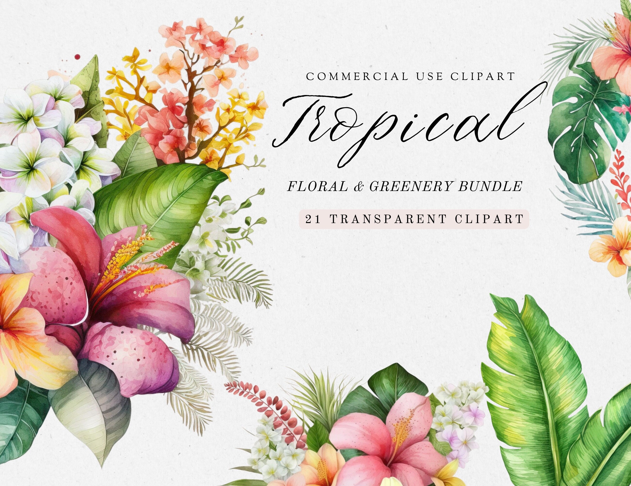 Tropical Flower Clipart Bundle, Watercolor Floral Clipart, Transparent ...