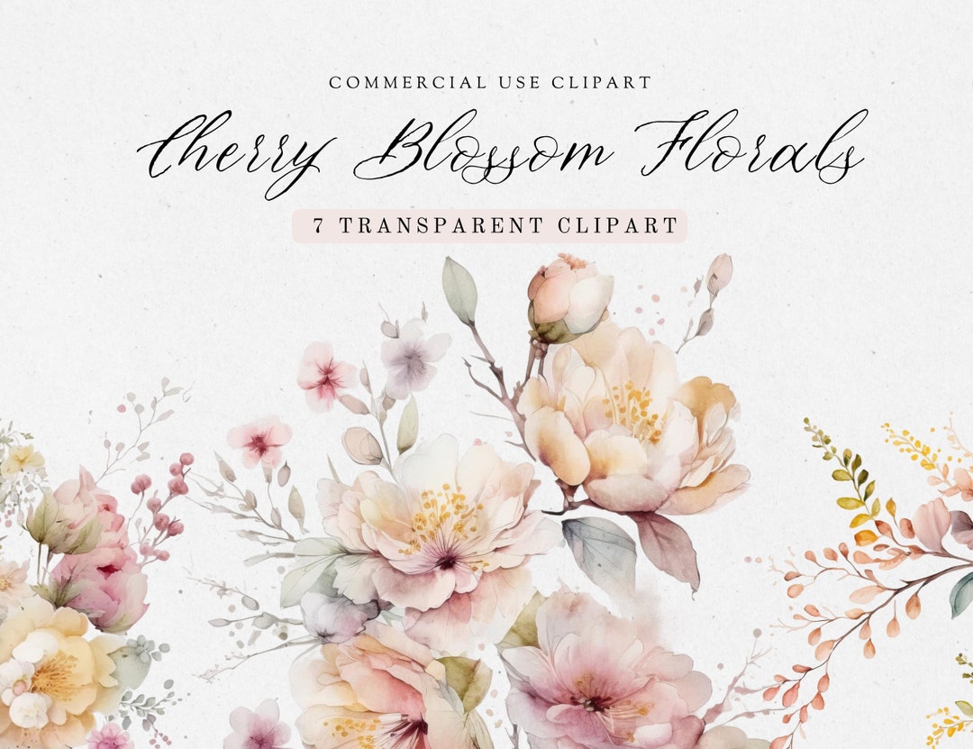 Cherry Blossom Clipart Pack, Pink Watercolor Floral Clipart, Light Pink ...