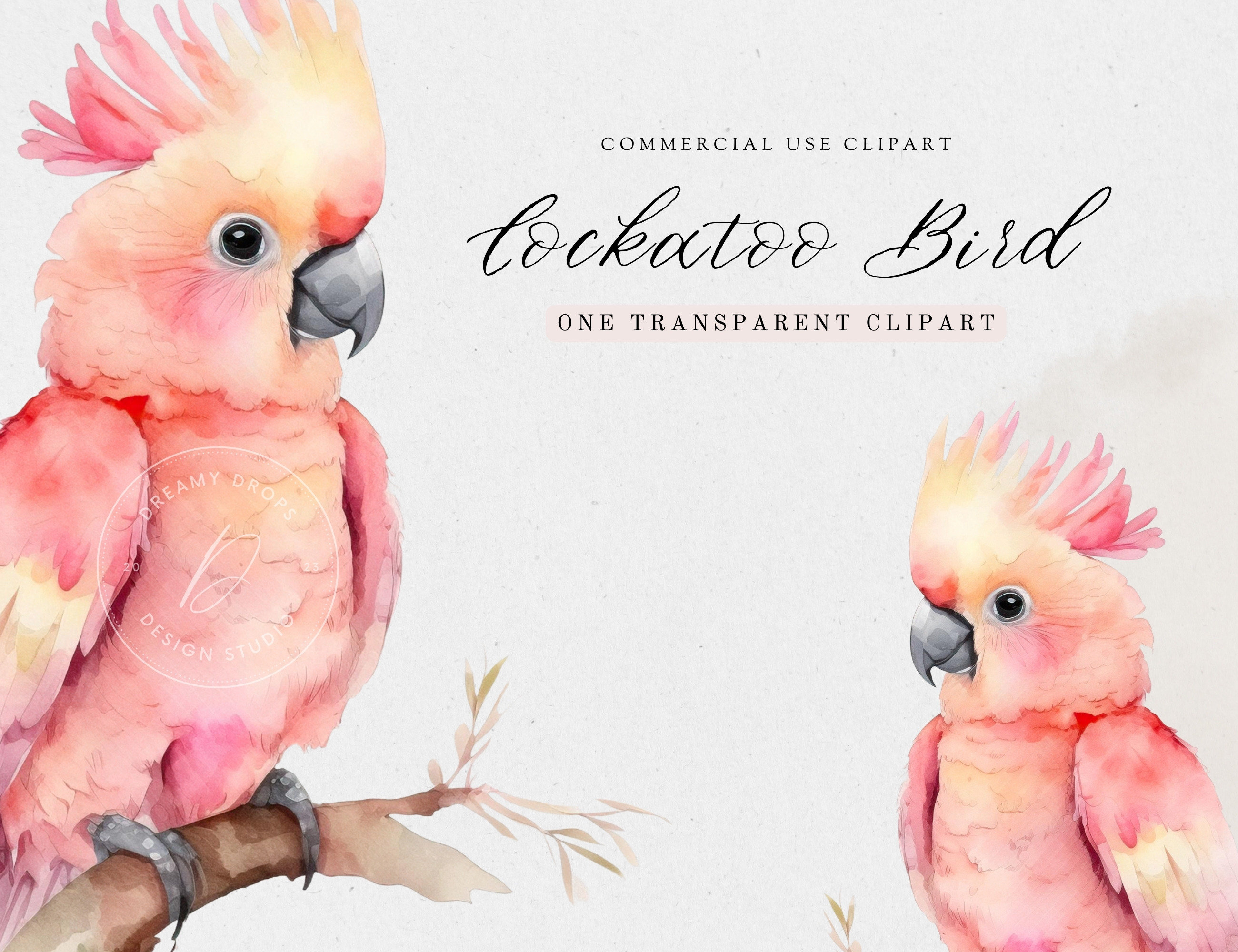 Bird Watercolor Clipart Pink Bird Clipart Cockatoo Clipart Etsy