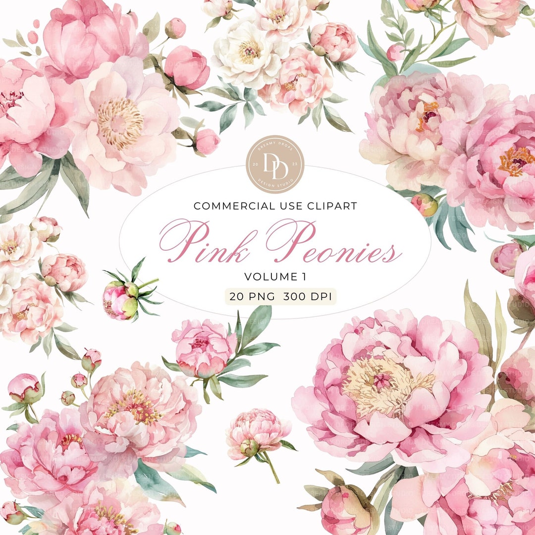 Pink Peonies Watercolor Clipart Pack, Romantic Florals Clipart, Wedding ...