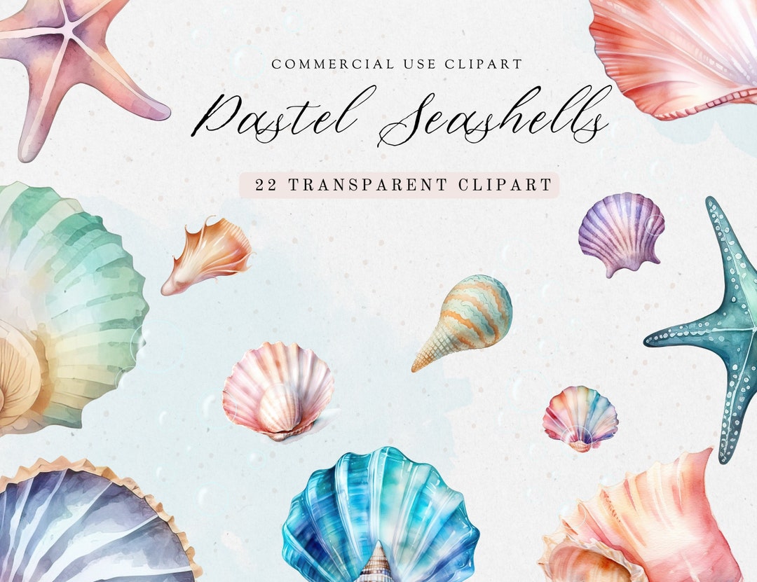 Seashell Clipart Bundle, Watercolor Clipart Under the Sea, Beach ...