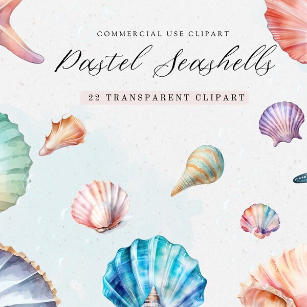 Seashell Watercolor - Etsy
