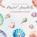 Seashell Clipart Bundle, Watercolor Clipart Under the Sea, Beach ...