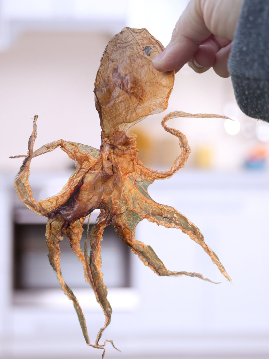 Dried Octopus Bites Hermit Crab Food - Etsy