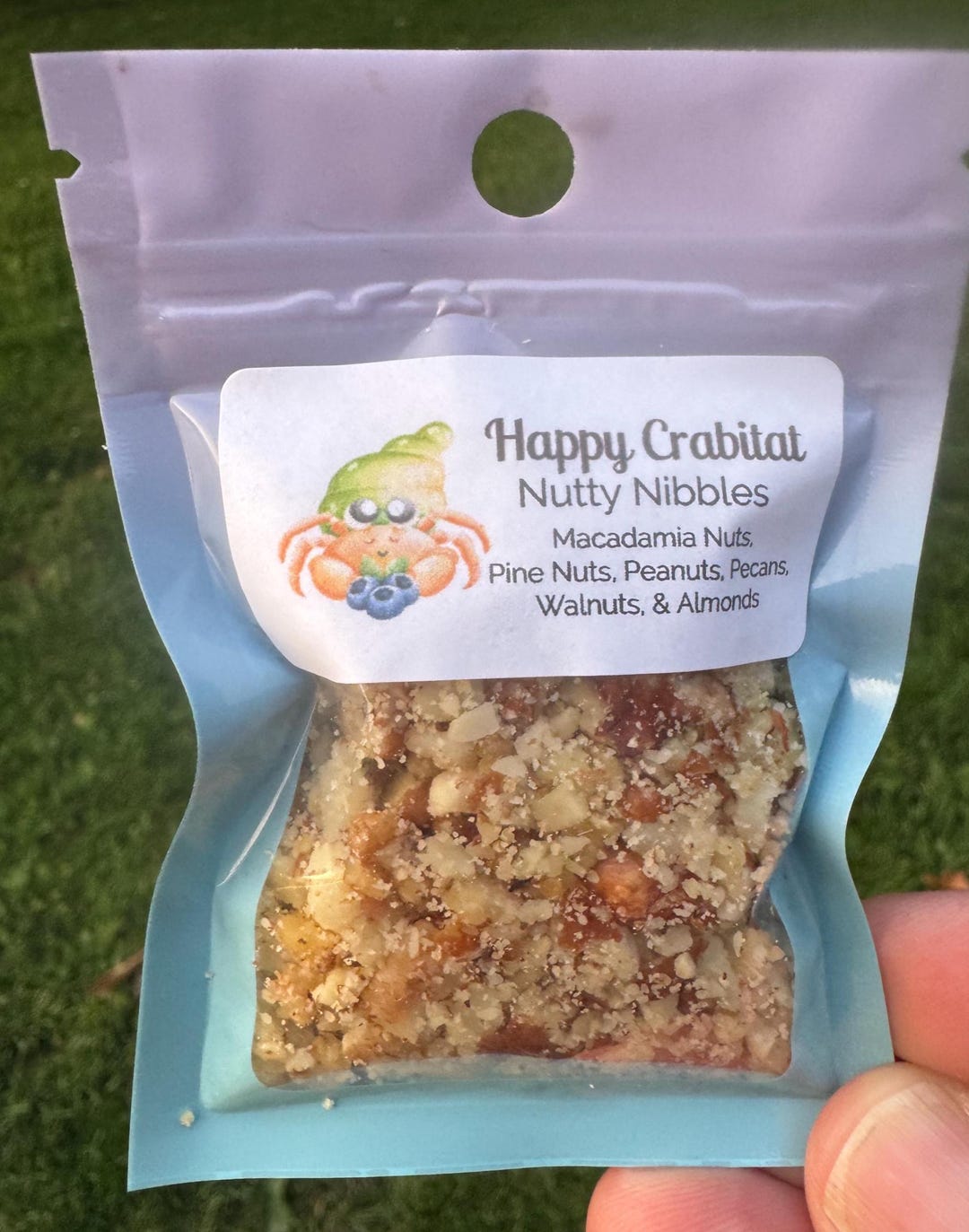 Nutty Nibbles Mixed Nuts for Hermit Crabs (contains 5 Types of Nuts ...