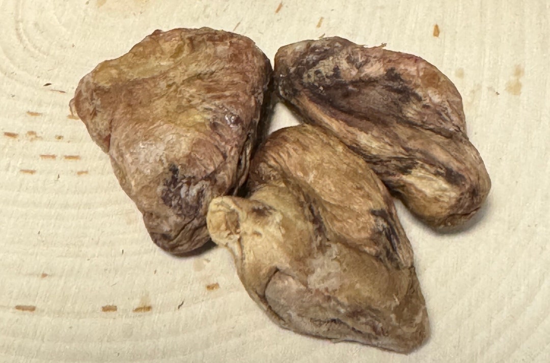 1 Raw, Freeze-dried Duck Heart Hermit Crab and Isopod Protein Treat - Etsy