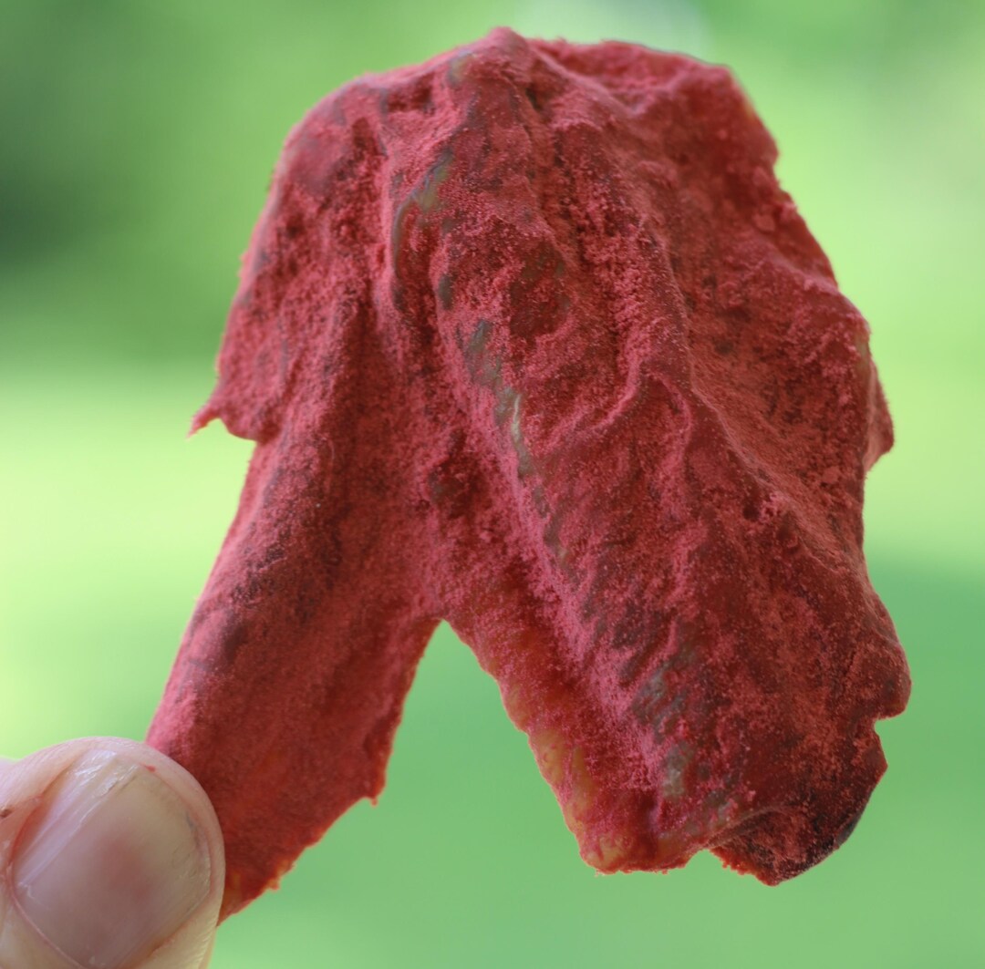 Dried Strawberry Chicken Wing Hermit Crab Treat - Etsy
