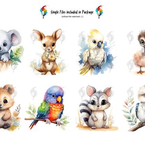 26 Baby Animals of Australia Clipart Bundle, Cute Animals Clipart, Baby ...