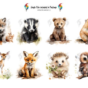 Baby Woodland Animals Clipart Bundle, Watercolor PNG Bundle, Nursery ...