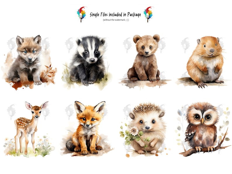 Baby Woodland Animals Clipart Bundle, Watercolor PNG Bundle, Nursery ...