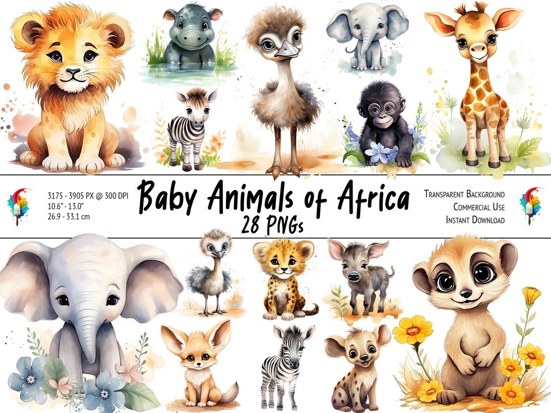 28 Baby Animals of Africa Clipart Bundle Baby Safari Animals - Etsy ...