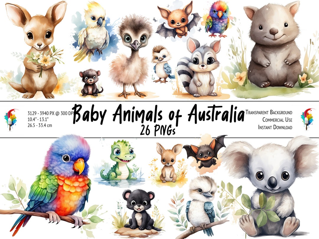 26 Baby Animals of Australia Clipart Bundle, Cute Animals Clipart, Baby ...
