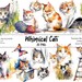 Whimsical Cats 30 Watercolor Cat Cliparts Bundle Feline - Etsy