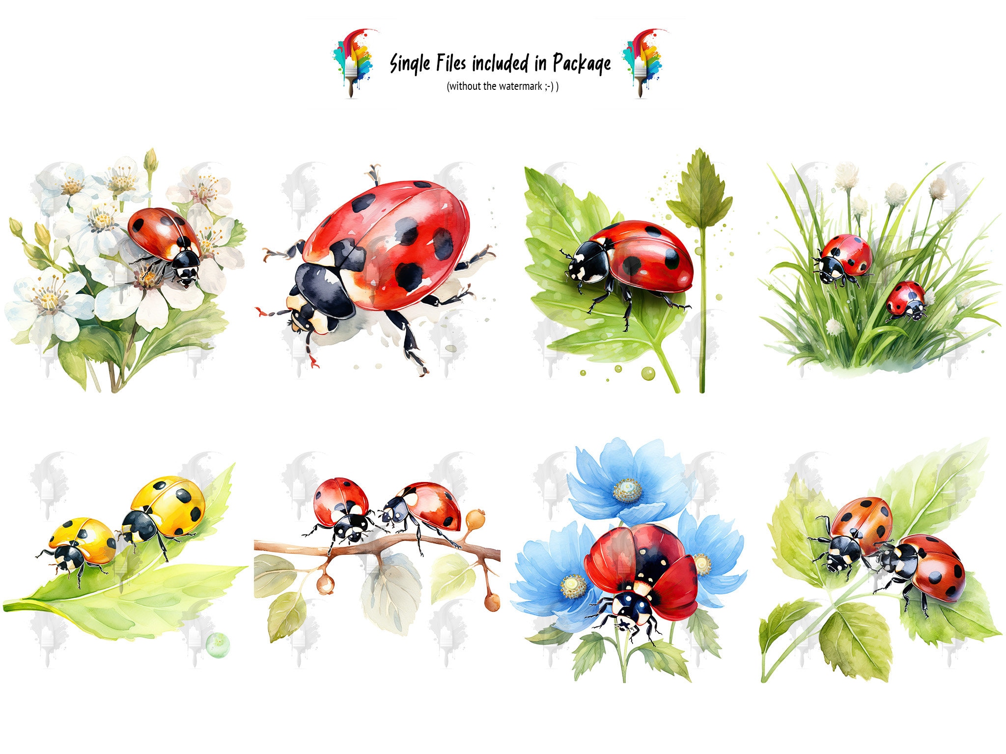 Ladybug Clipart Bundle, Lovely Ladybugs, Ladybug PNG Bundle, Floral ...