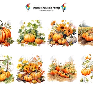 24 Watercolor Pumpkin Clipart Bundle, Fall Clipart, Autumn Graphics ...