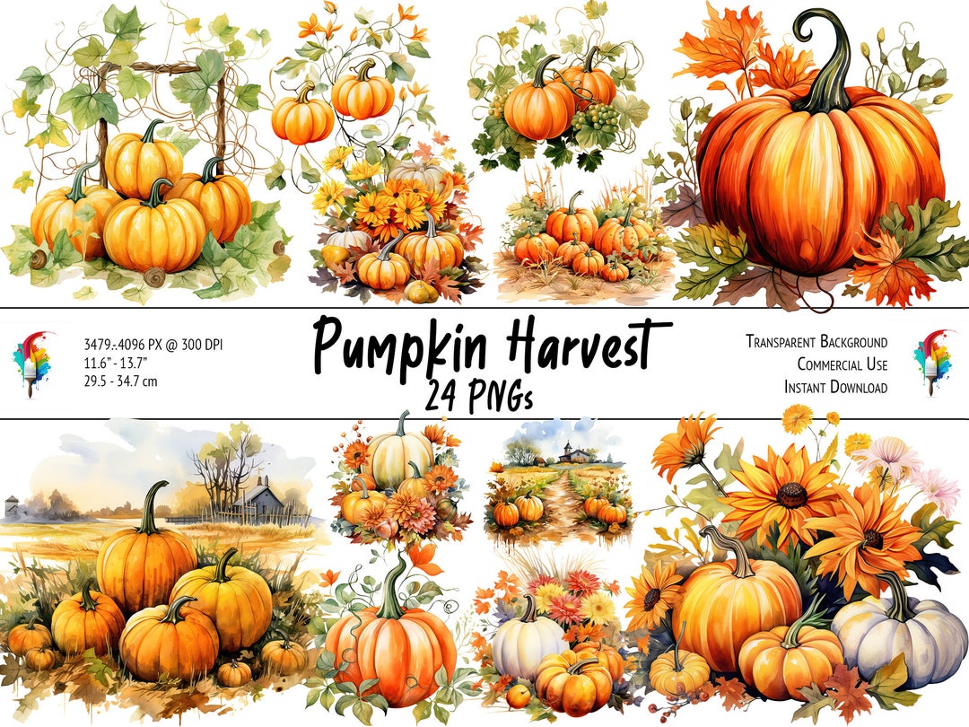 24 Watercolor Pumpkin Clipart Bundle, Fall Clipart, Autumn Graphics ...