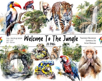 Safari Party Clipart Bundle Jungle Zoo Animals Leaves - Etsy