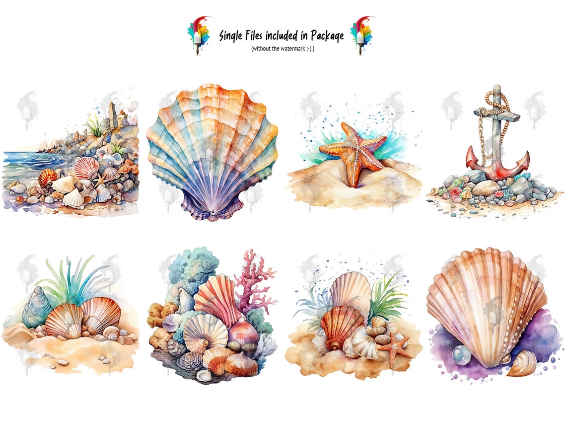 Seashell Serenity 24 Watercolor Seashell Cliparts Bundle, Watercolor ...
