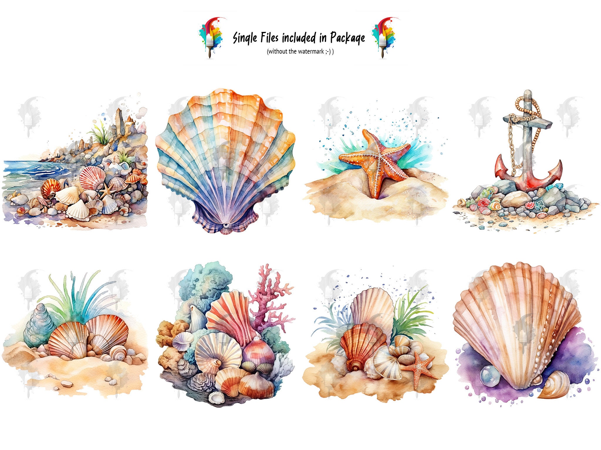 Seashell Serenity 24 Watercolor Seashell Cliparts Bundle, Watercolor ...