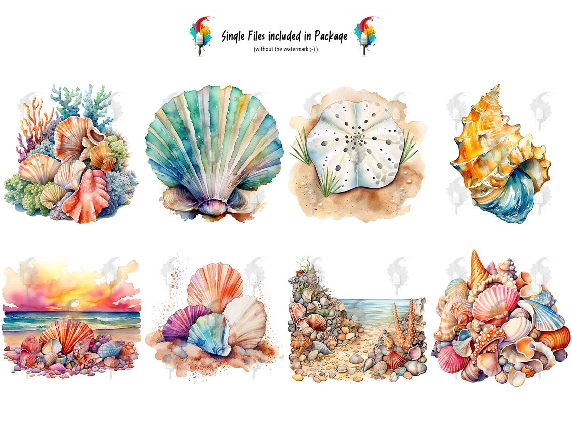 Seashell Serenity 24 Watercolor Seashell Cliparts Bundle, Watercolor ...